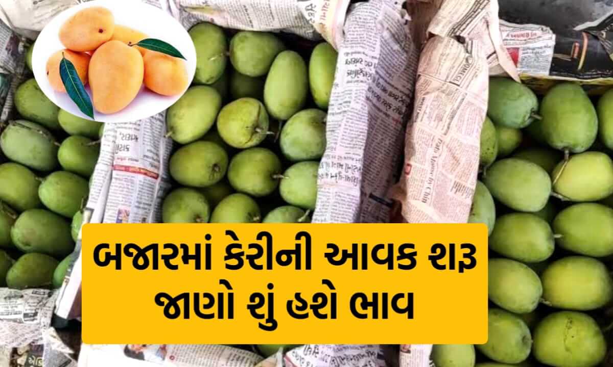 Mango Price 2024: બજારમા કેરીની આવક શરૂ, આટલા રૂપીયામા મળી રહિ છે કેસર ...